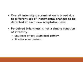 Elements of visual perception in digital image processing | PPT
