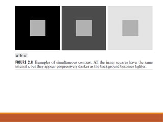 Elements of visual perception in digital image processing | PPT