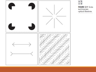 Elements of visual perception in digital image processing | PPT