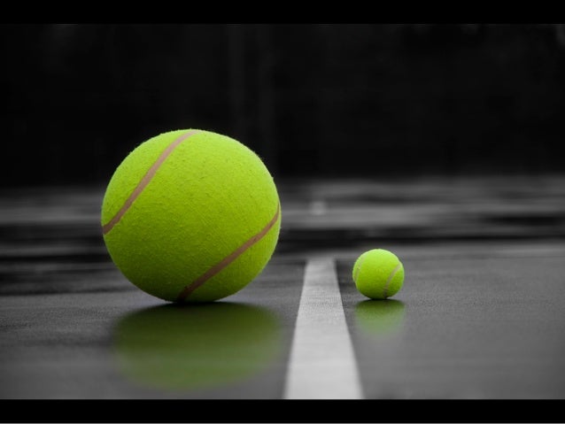 Elements & Principles of Art Through Photography