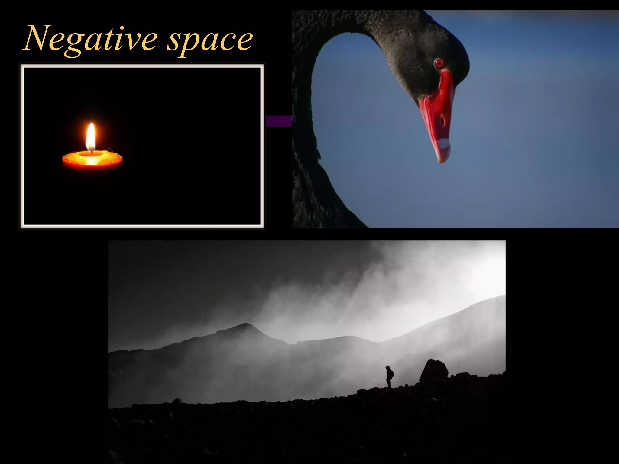 Elements of Art & Photography | PDF