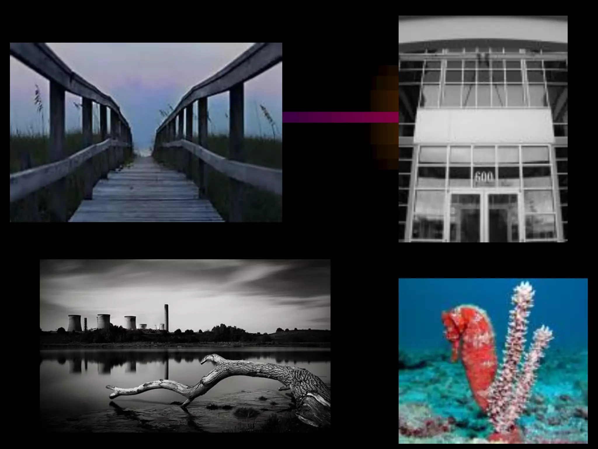 Elements of Art & Photography | PDF