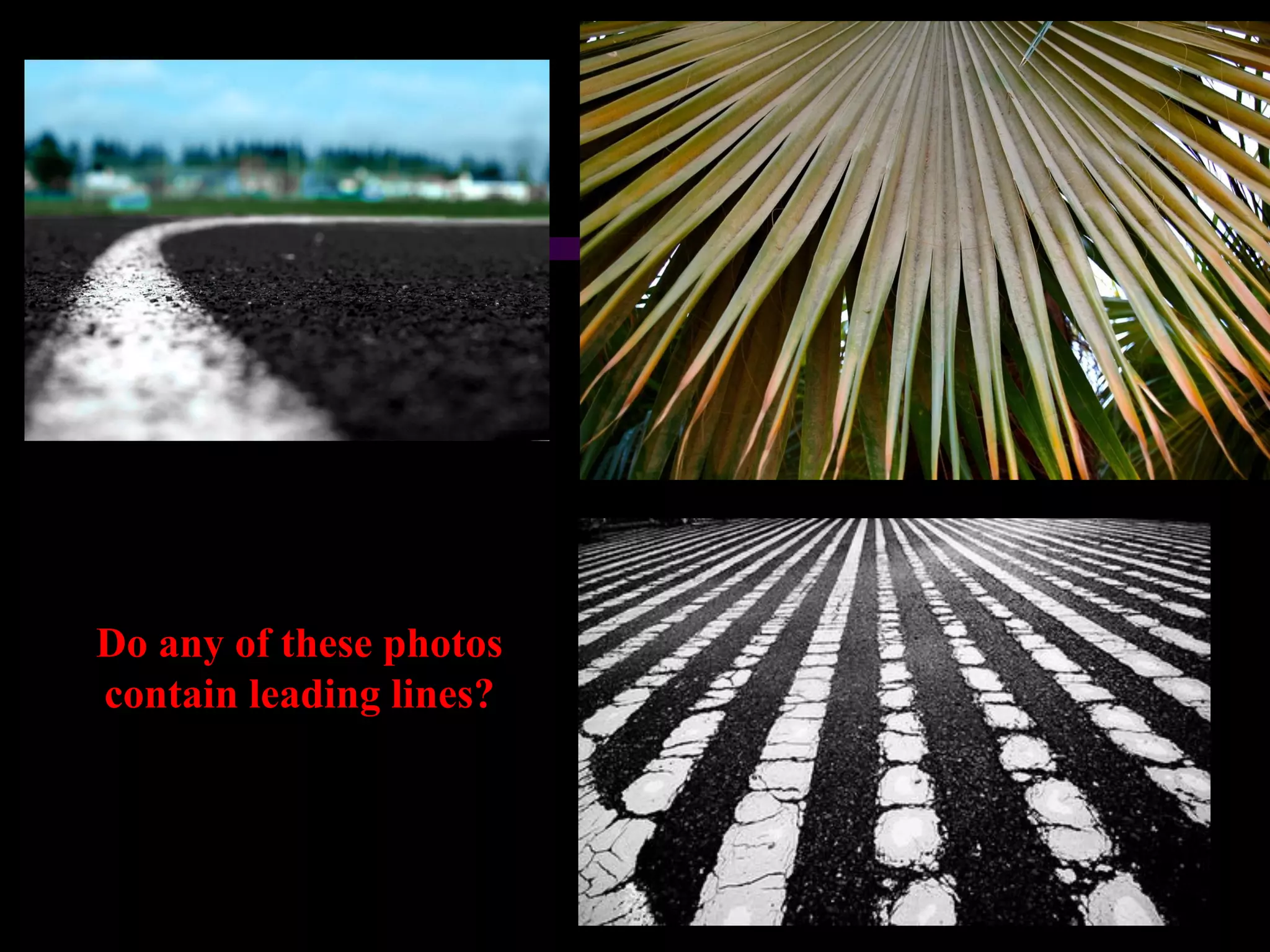 Elements of Art & Photography | PDF
