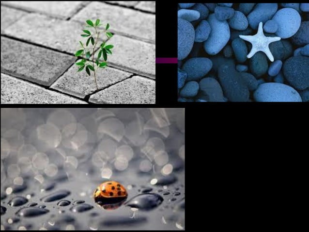 Elements of Art & Photography | PDF | Photography | Arts and Crafts