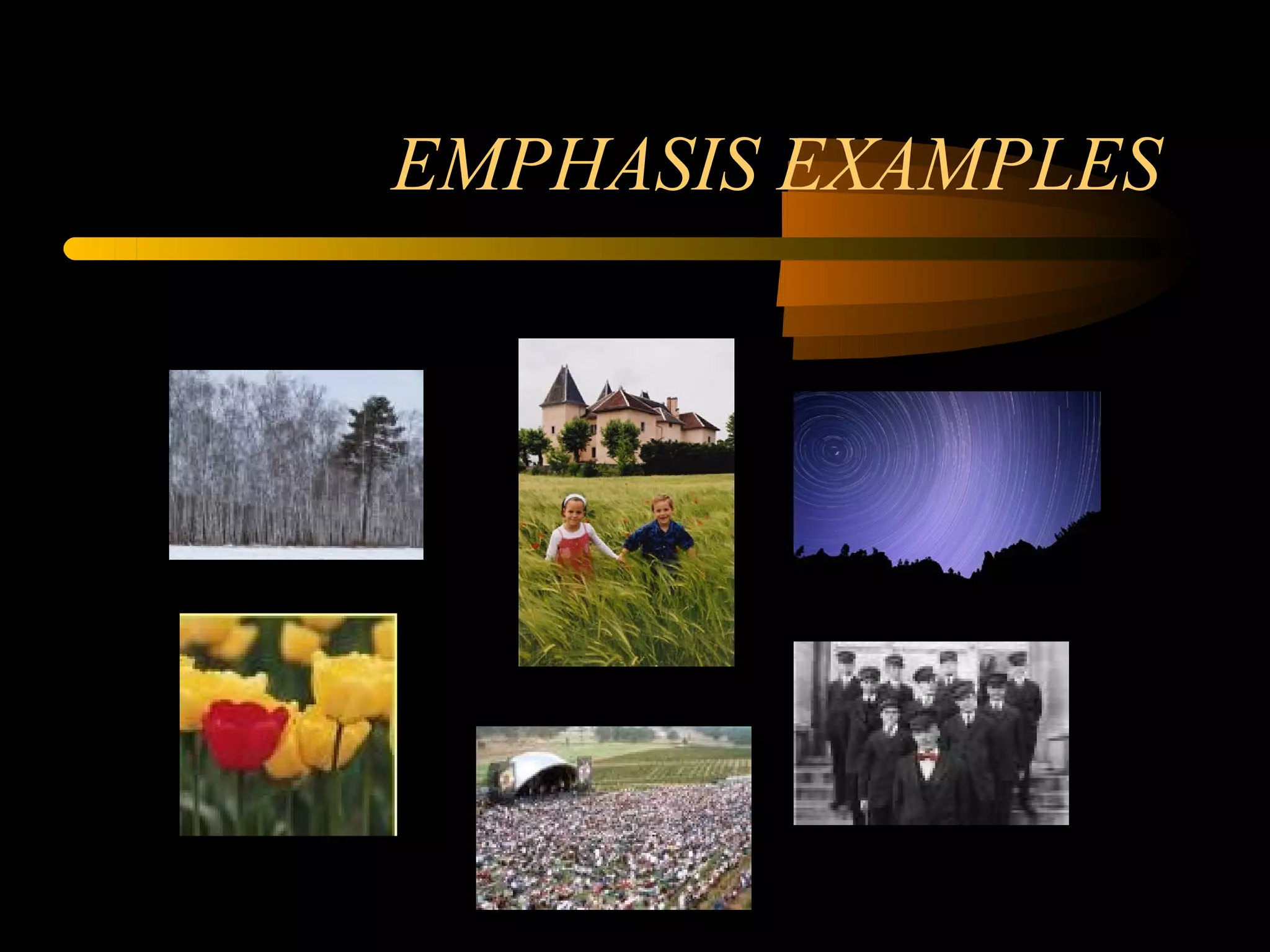 Elements and Principles of Design in Photography | PPT