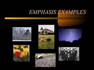 Elements and Principles of Design in Photography | PPT