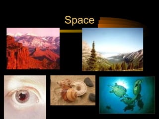 Elements and Principles of Design in Photography | PPT