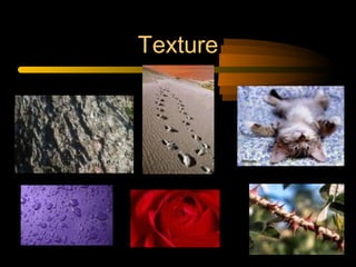 Principle Of Unity In Photography