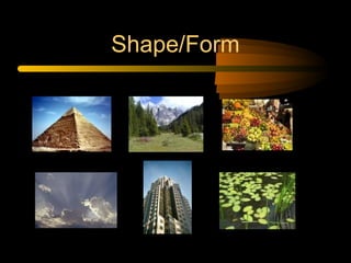 Examples Of Form In Photography