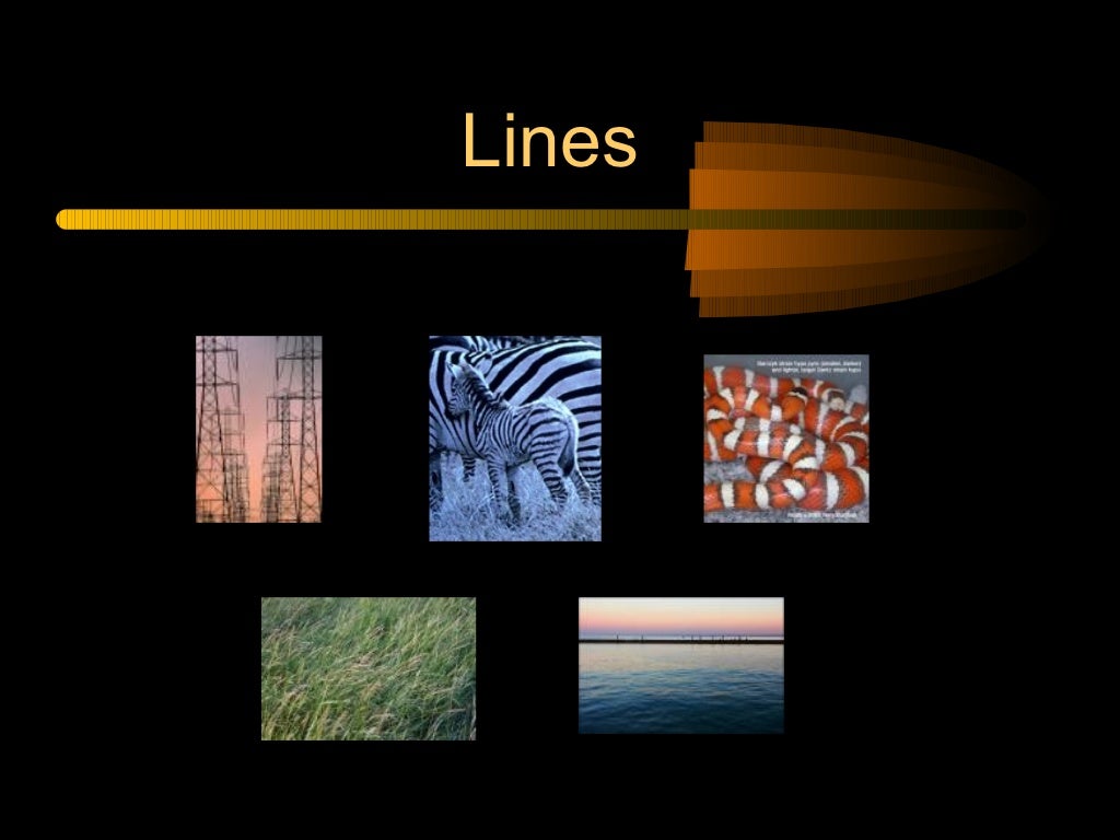 Elements And Principles Of Design In Photography
