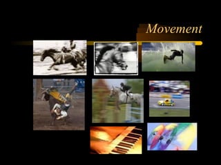 Elements principles of photo | PPT