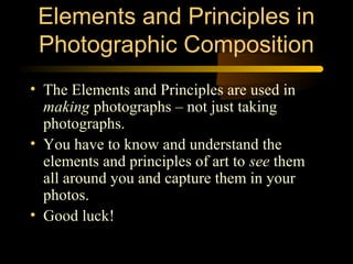 Elements principles of photo | PPT