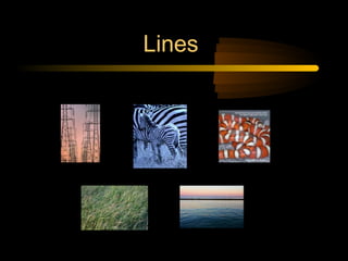 Elements principles of photo | PPT