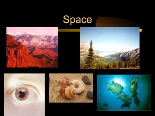 Elements principles of photo | PPT