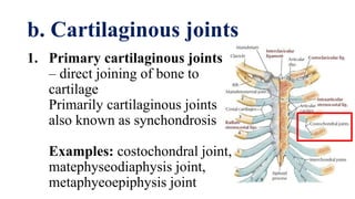 Elements to Arthrology | PDF