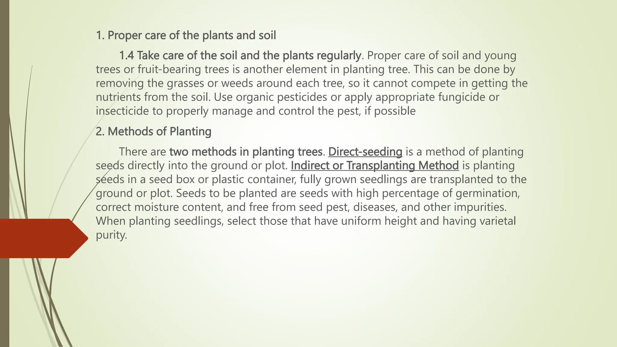 Elements to be observed in planting trees and.pptx