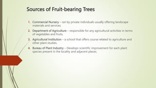 Elements to be observed in planting trees and.pptx