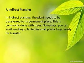 Elements to be observed in planting trees and fruit bearing trees.pptx