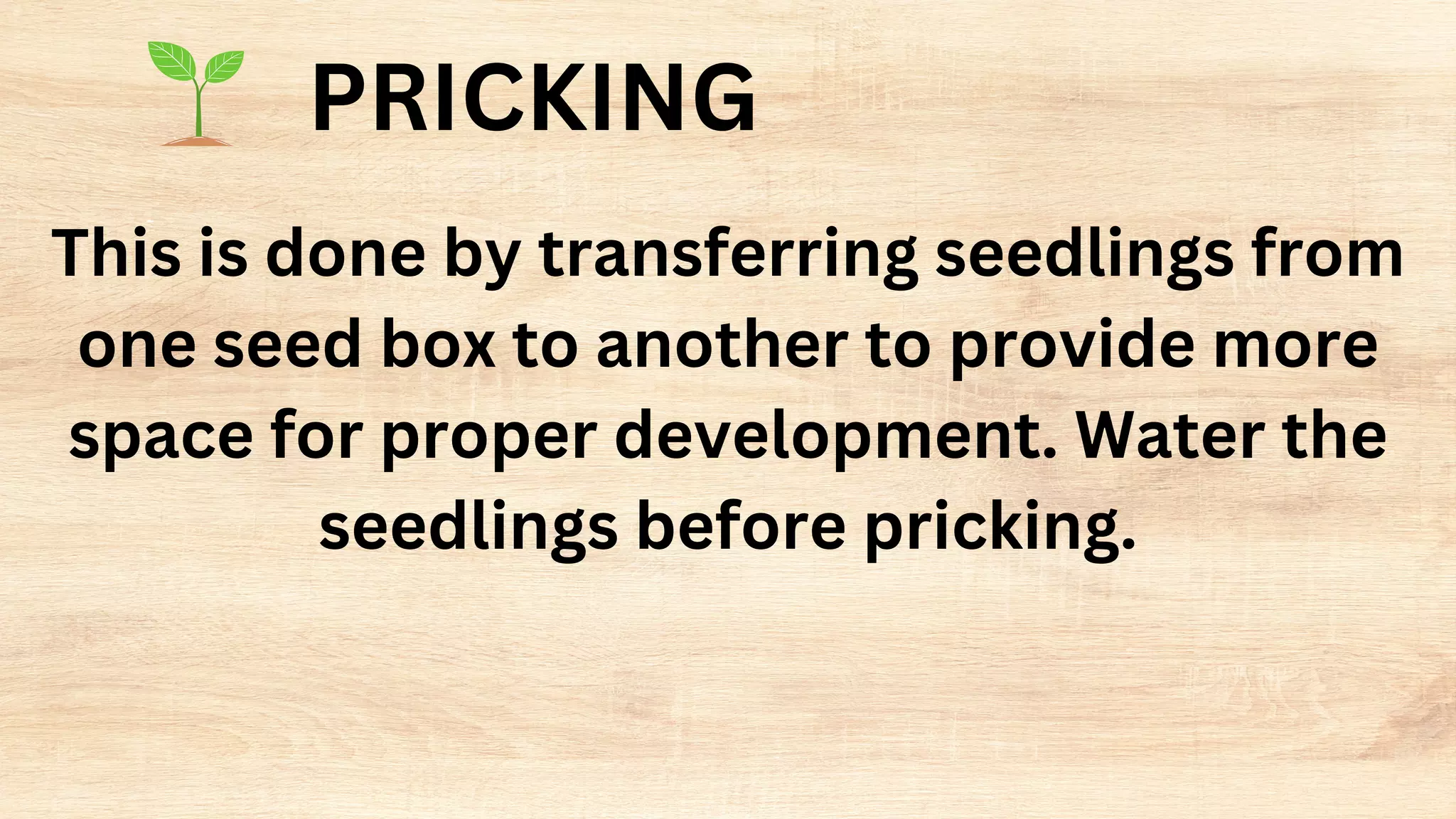 ELEMENTS TO BE OBSERVED IN PLANTING TREES, FRUIT-BEARING TREES.pdf