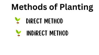 ELEMENTS TO BE OBSERVED IN PLANTING TREES, FRUIT-BEARING TREES.pdf