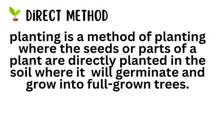 ELEMENTS TO BE OBSERVED IN PLANTING TREES, FRUIT-BEARING TREES.pdf