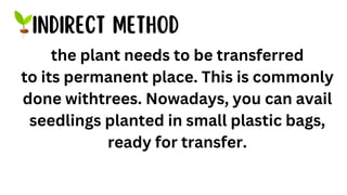 ELEMENTS TO BE OBSERVED IN PLANTING TREES, FRUIT-BEARING TREES.pdf