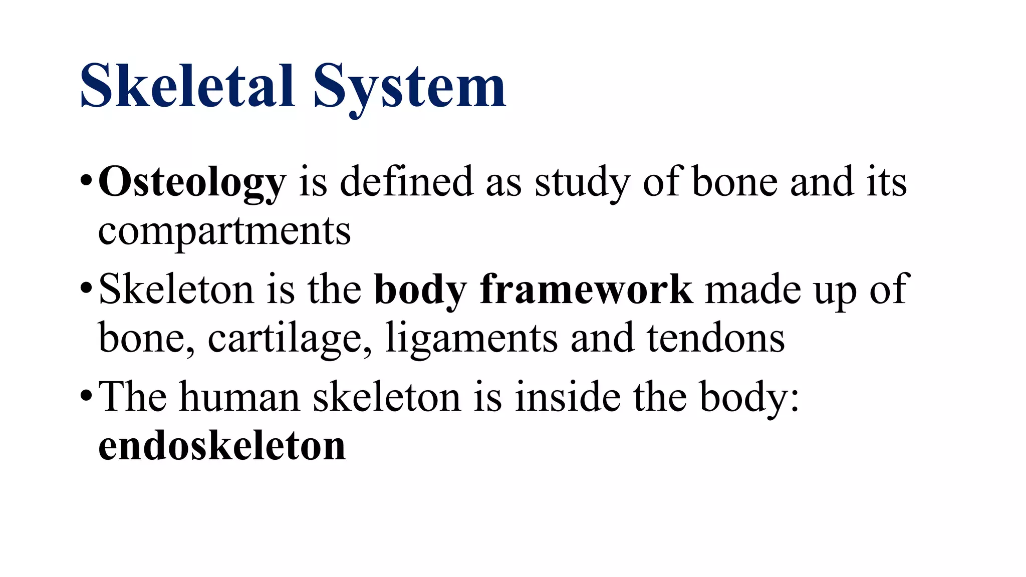 Elements to osteology | PDF