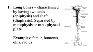 Elements to osteology | PDF