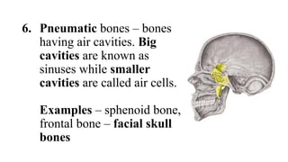 Elements to osteology | PDF