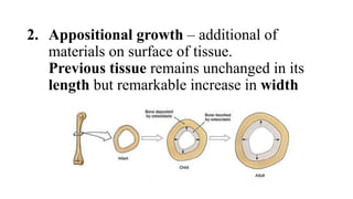 Elements to osteology | PDF
