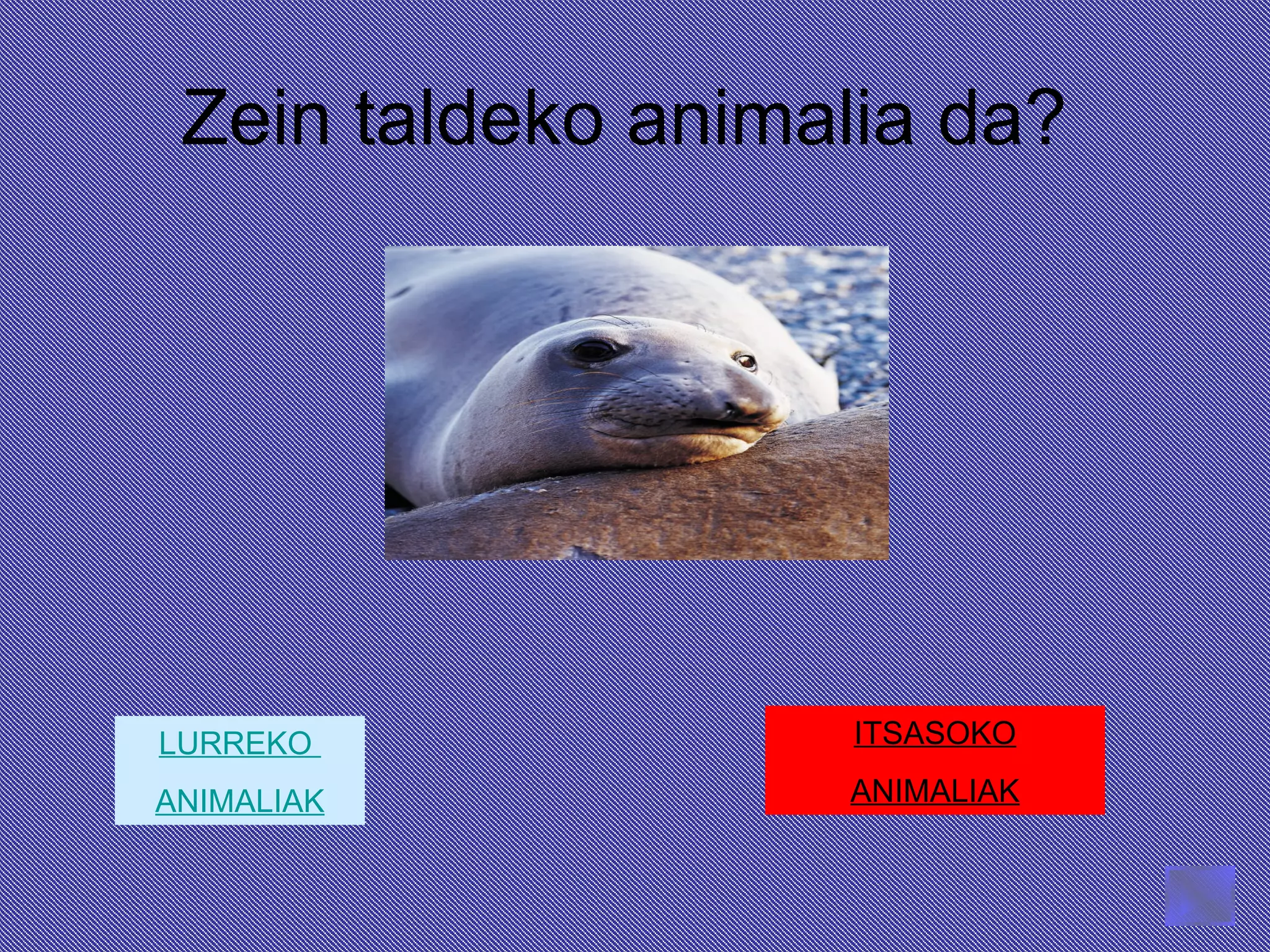 Elementuak Taldekatu | PPT