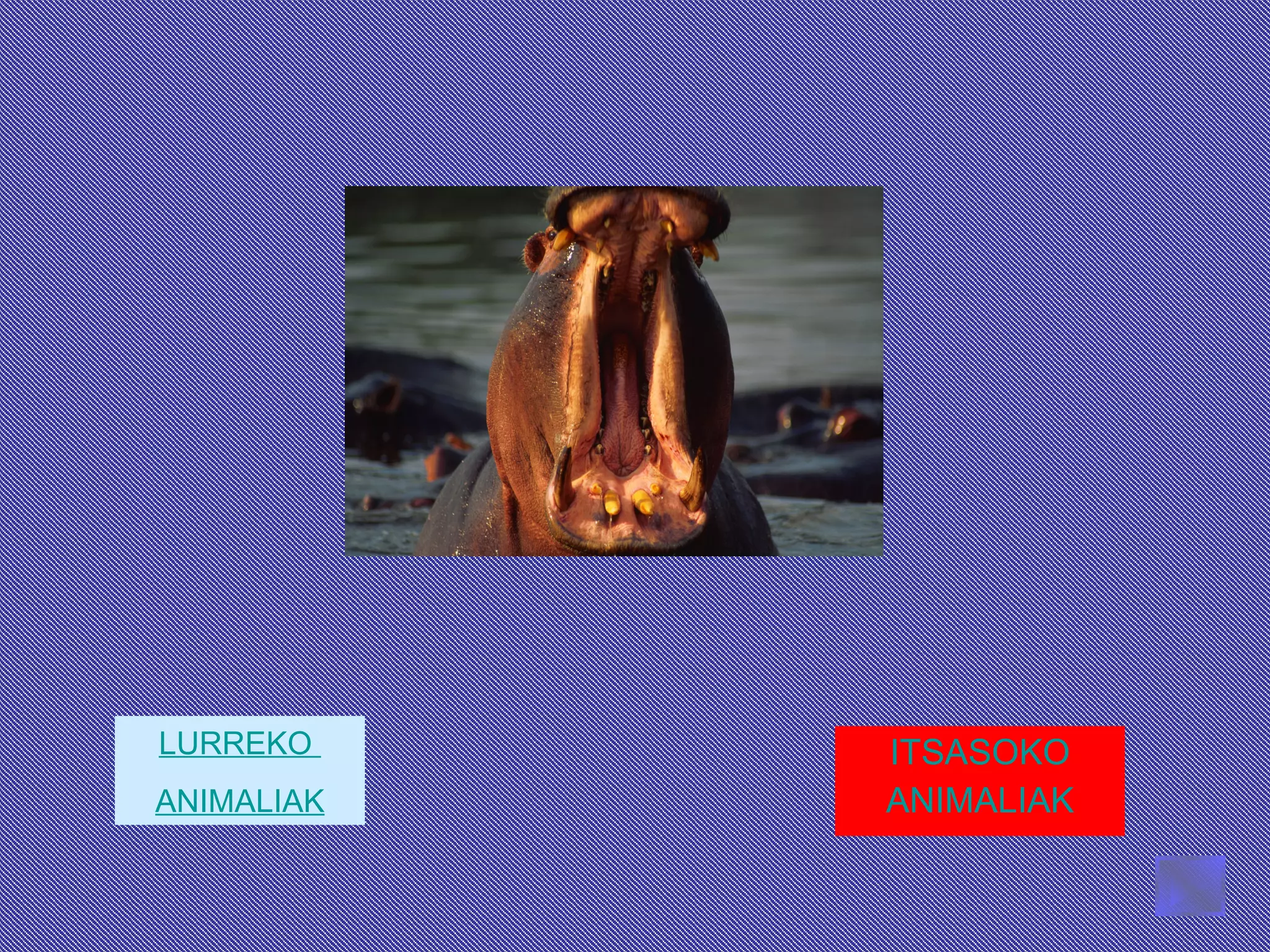 Elementuak Taldekatu | PPT