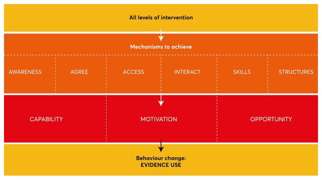 Capacity building for evidence informed practice | PDF