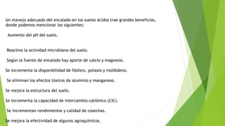 el encalado.pptx
