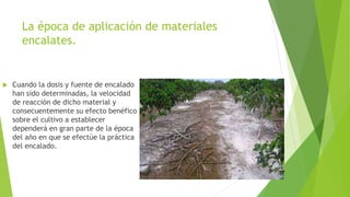 el encalado.pptx