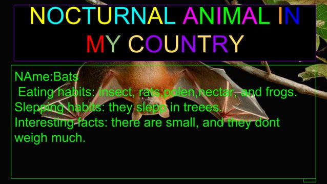 Elene presentation | PPTX | Birds | Pets