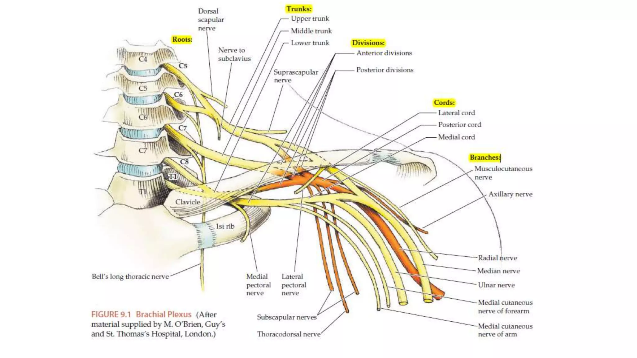 Eleni PN.pptx | Death, Injury, or Military Conflict | Sensitive Topics