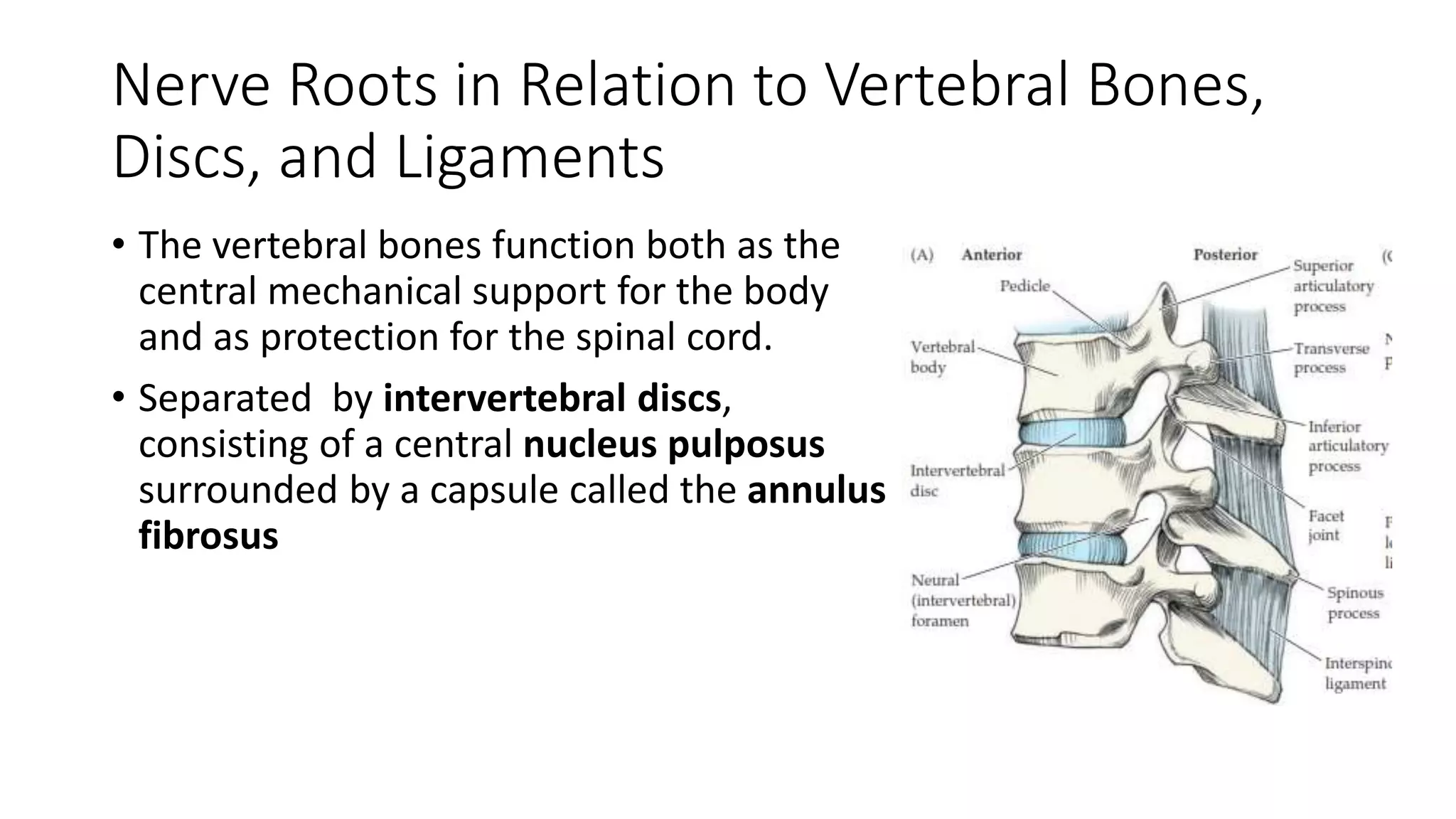 Eleni PN.pptx | Death, Injury, or Military Conflict | Sensitive Topics