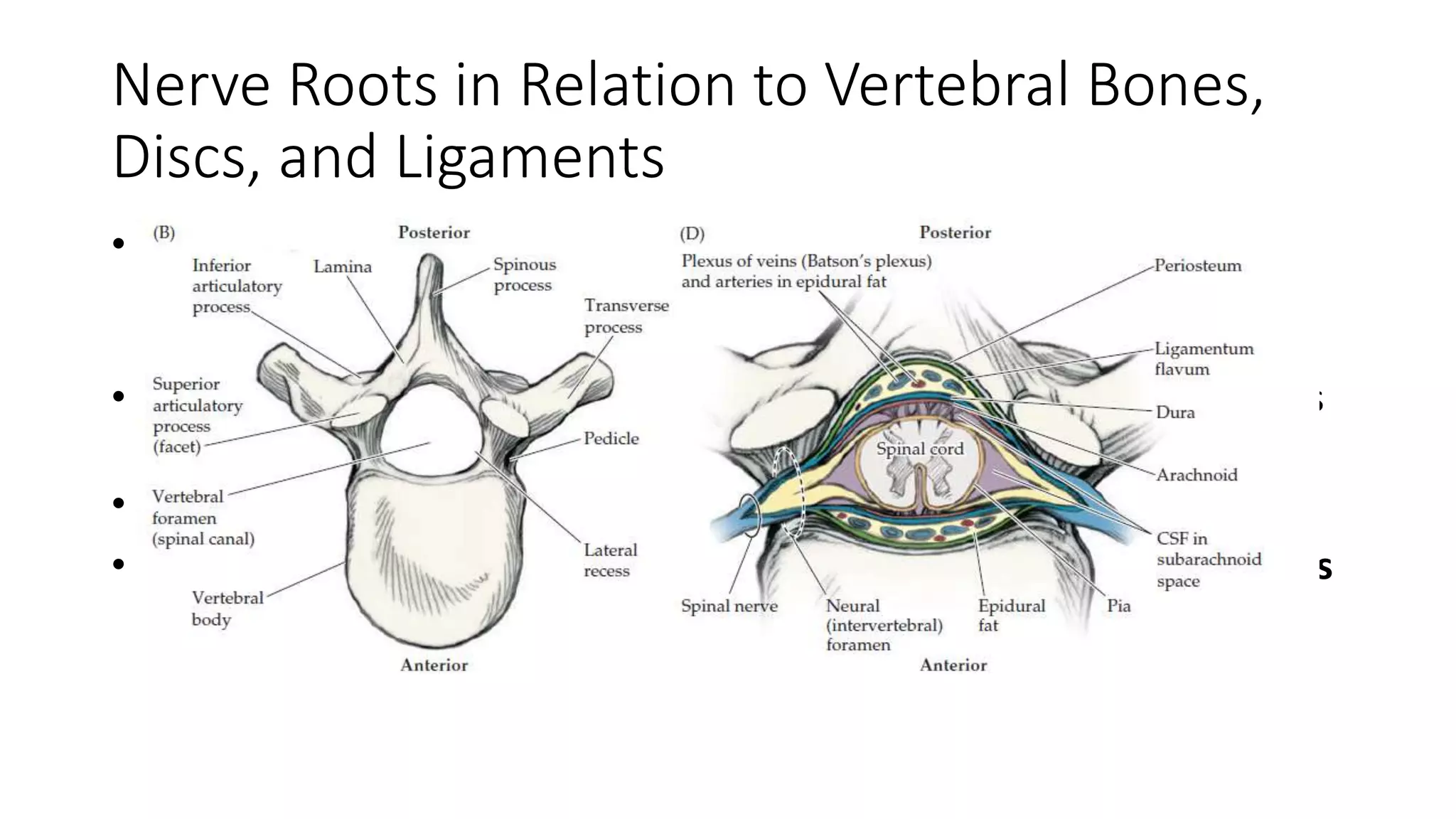 Eleni PN.pptx | Death, Injury, or Military Conflict | Sensitive Topics