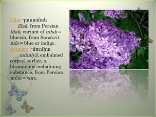 Elen list of english words of french origin | PPTX