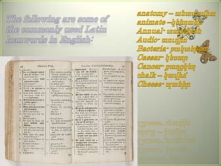 Elen list of english words of french origin | PPTX