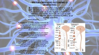El entendimiento del funcionamiento del sistema nervioso y | PPT