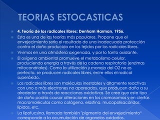 El envejecimiento 1 | PPTX