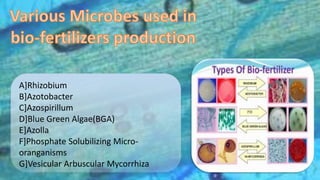 Biofertilizers | PPTX