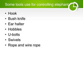 presentation on Elephant | PPTX