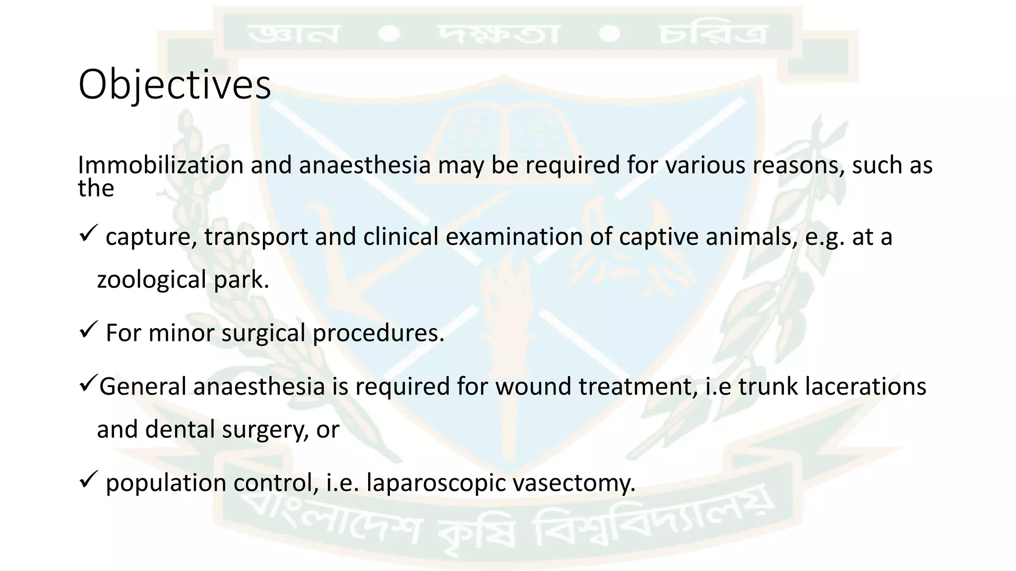Elephant anesthesia | PPTX