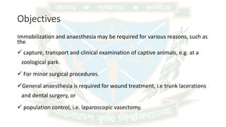Elephant anesthesia | PPTX