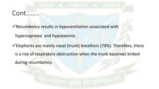 Elephant anesthesia | PPTX
