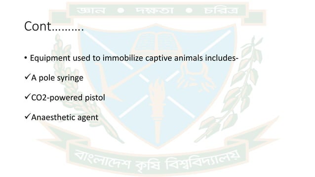 Elephant anesthesia | PPTX