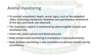 Elephant anesthesia | PPTX